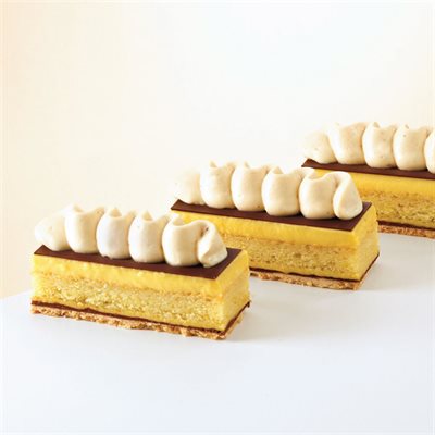 BIONDA 36% WHITE CARAMEL COUVERTURE COINS